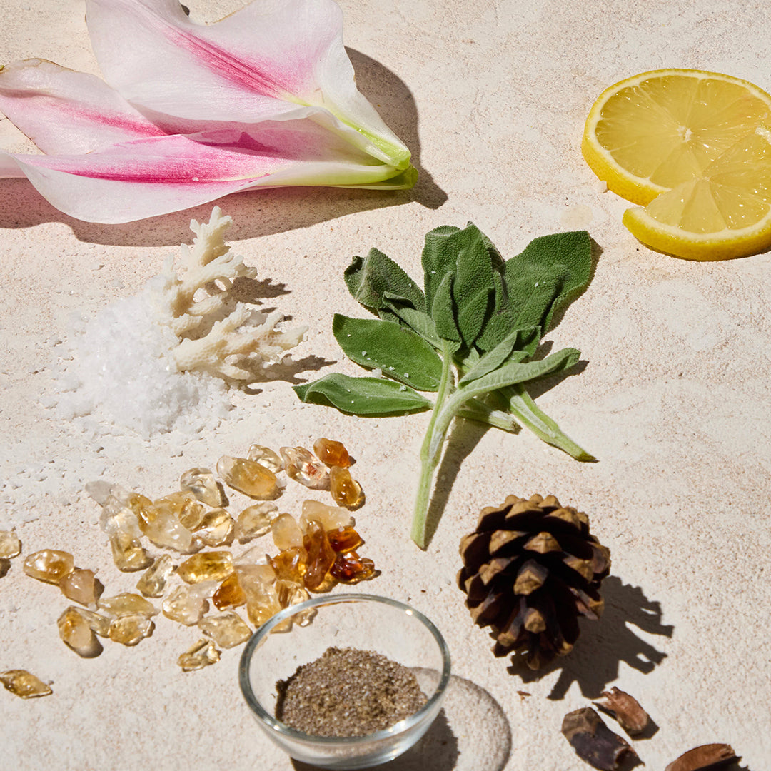 Gentle Shampoo – Tootilab